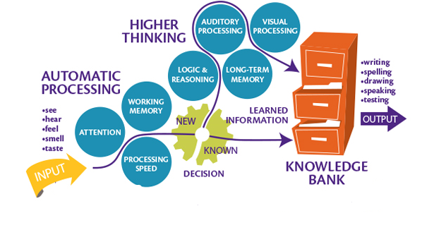 Brain Training 101 | BrainRx